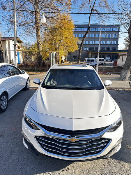 малибу -2/1.5/2019г