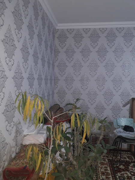 Келес кук теракда срочно янги курилган уй сотилади.
