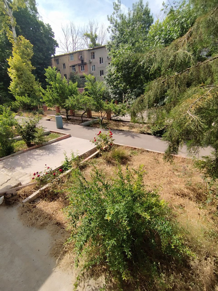 Ялангач Чимган, кирпич, балкон 2*6, ремонт