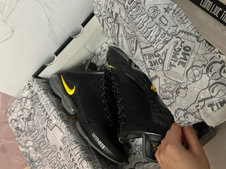 Кроссовки LeBron 19 Low sneakers
