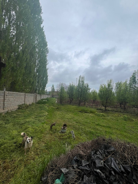 Келес Абдурахмовда 11 соти ер сотилади орка олди куча тупик тарцавой