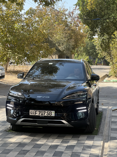 BYD chempion 2023 yil