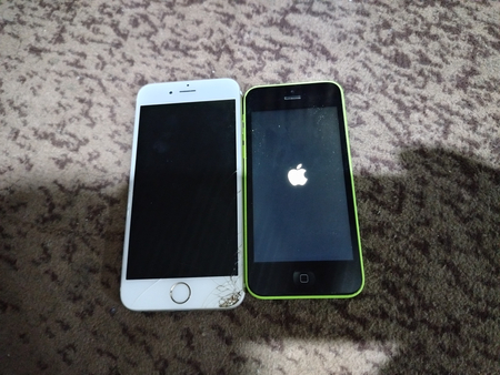 IPhone 6 va iPhone 5c