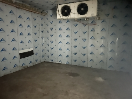 Холодильник 100 тоналик