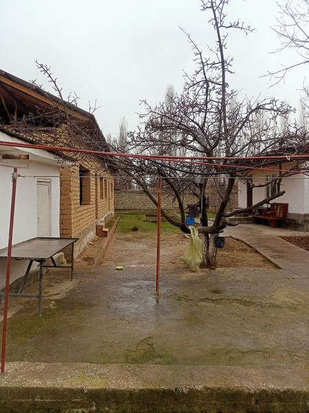 Мужик тоотимпртт