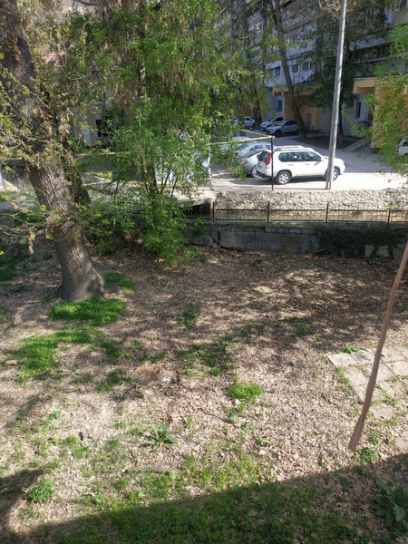 Аренда. ЦУМ.2в3-ком, студентам\\n2в3/2/2, 40 м2, м.