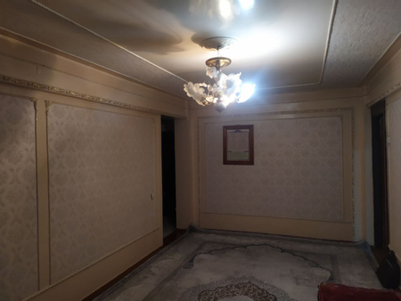 Кара камиш сой бойи 3/4/5 продаётся