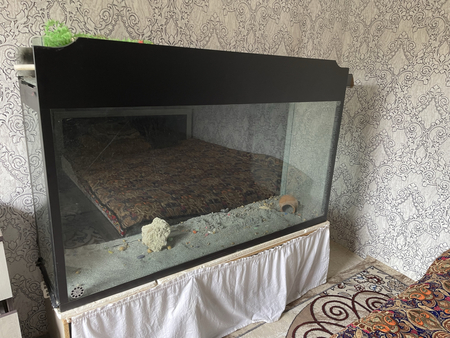 Akvarium sotiladi narxini kelishamiz