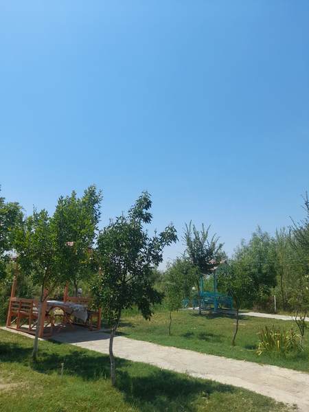 Yer maydoni sotiladi