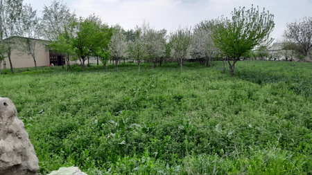 kadastir qilingan