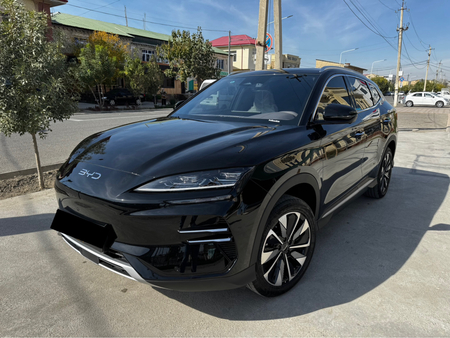 BYD champion 605 km 2025 restayling