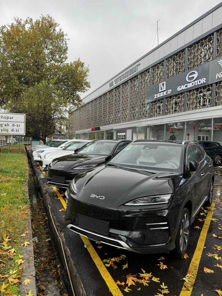 Byd Champion 2025 restayling salonda tayyor oq va qora