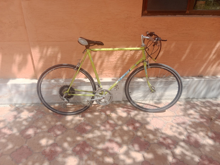 Аист velosiped orginal sportivniy