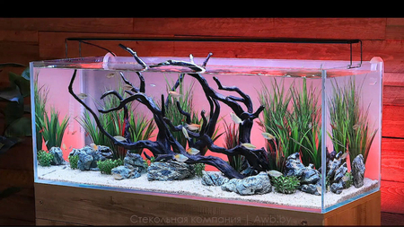 Чистка аквариума / Akvarium tozalash xizmati Aquashop