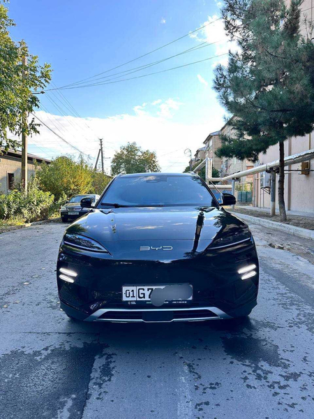 byd chempion 605