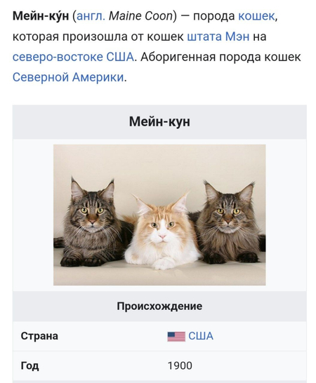 Мейн-кун коше 6 места