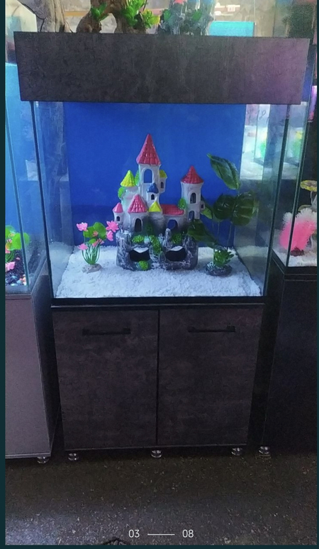 Akvarium zakasga yasimiza Har xil razmerda