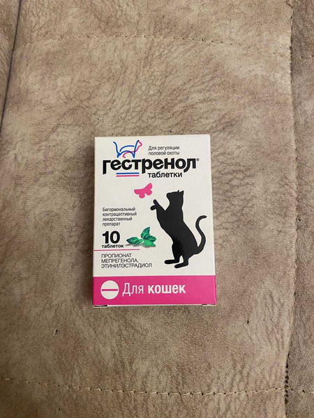 Таблетки для кошек и котов от течки