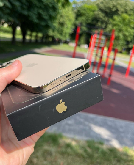 iPhone 12 Pro Max Gold  Usta Kormagan