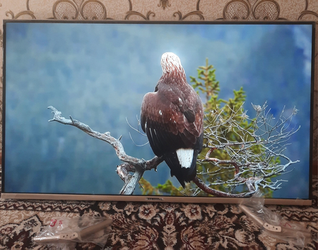Samsung tv 43 (android, smart)