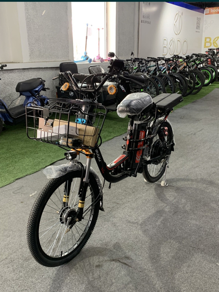 elektrovelosiped Электровелосипед 22 24