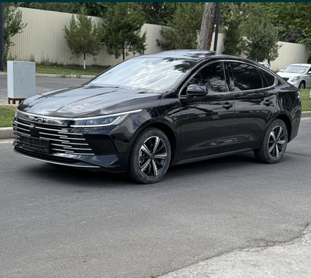 BYD chazor comfort arenda s vikupom 14%