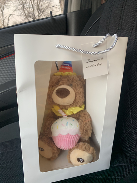 Teddy ayiq qo’shiq aytadi va gapingizni qaytaradi
