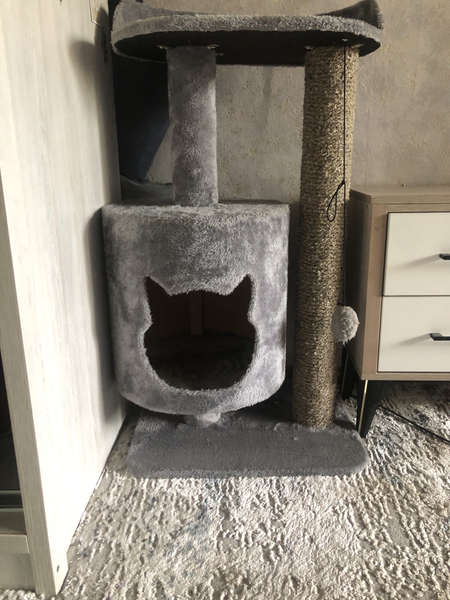 Продается домик для кота