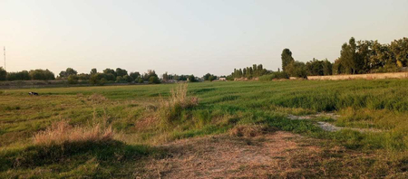 Ferma srochna sotiladi