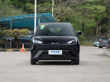 BYD seagull fly 2024