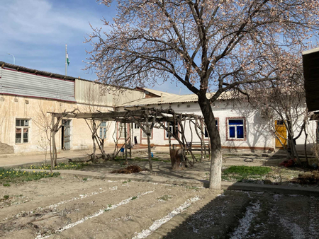 Срочно ховли сотилади. Гули Маркет рупарасида.