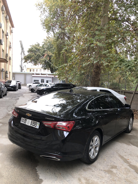 Malibu premier 2021 top toza