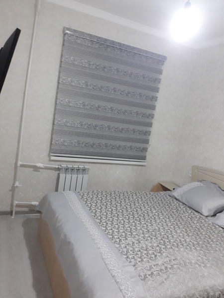 Dom kvartira agarotlari bilan