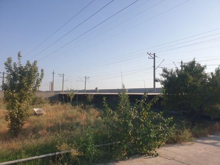 Sirdaryo shaharda 60 sotxli ferma sotiladi