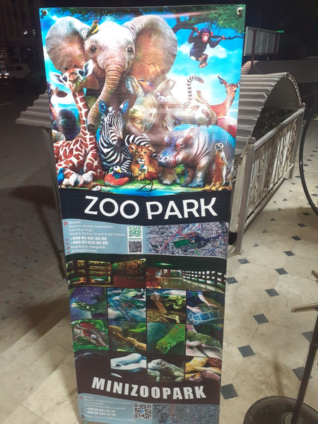 Mushuk ovqat baliq qushlar Zoomagazin Reptarium