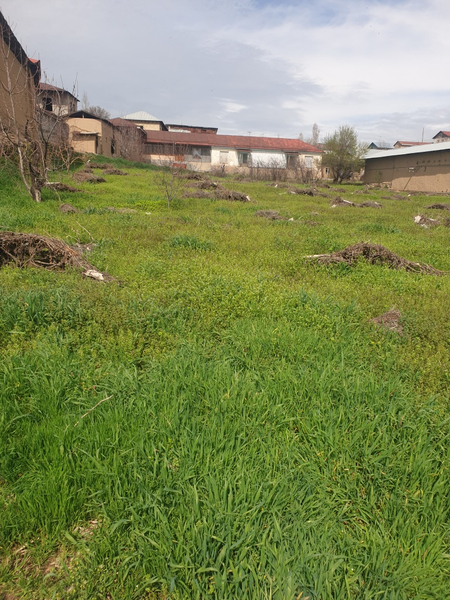 Toshkent viloyati Parkent shaxrida