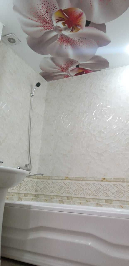 все виды ремонта выполним