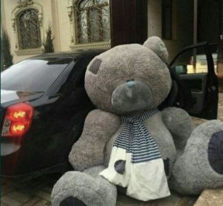 Teddy va boshqa yumshoq oʻyinchoqlar