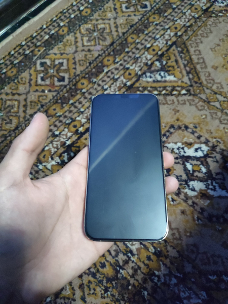 iPhone 12 pro max