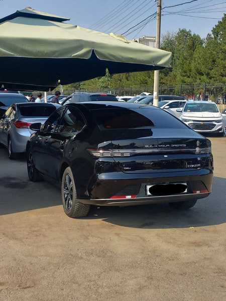 Byd chazor 2023 toza