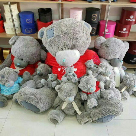 Тедди Teddy Teddi Teddiy Orginal Optom 1+1