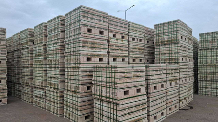полтора кирпич ғишт