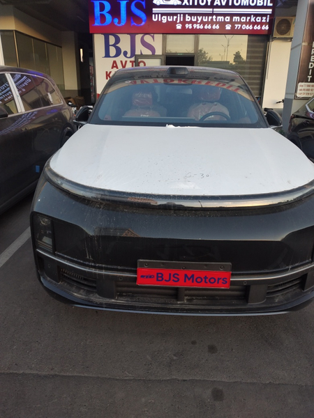 Lixang Li 9 ultra 06.2024