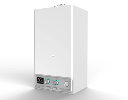 Газовый котел двухконтурный Everel
