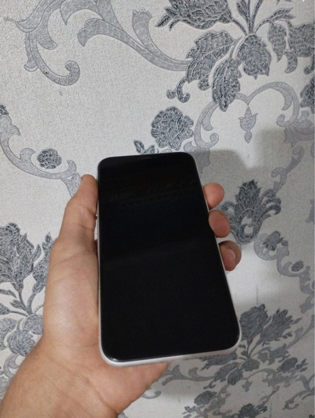 Iphone 11 aotiladi