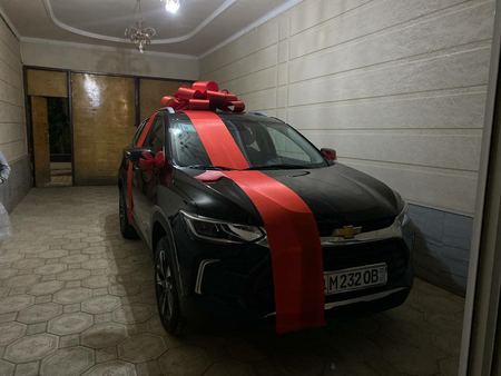 Бантик bantik bant avtobantik МЕД ГОРОДОК