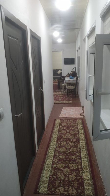 Kirip olmozor koʻchada