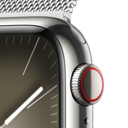 Apple watch 8 milanese loop