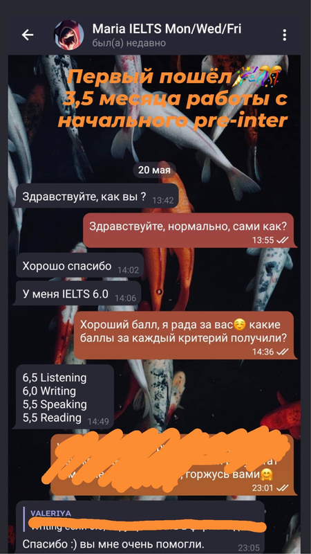 Онлайн занятия по IELTS Academic