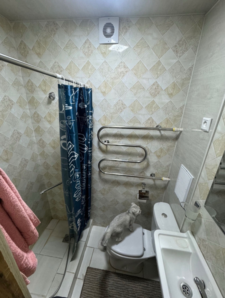 Сдается 1/2/4 Рисовый